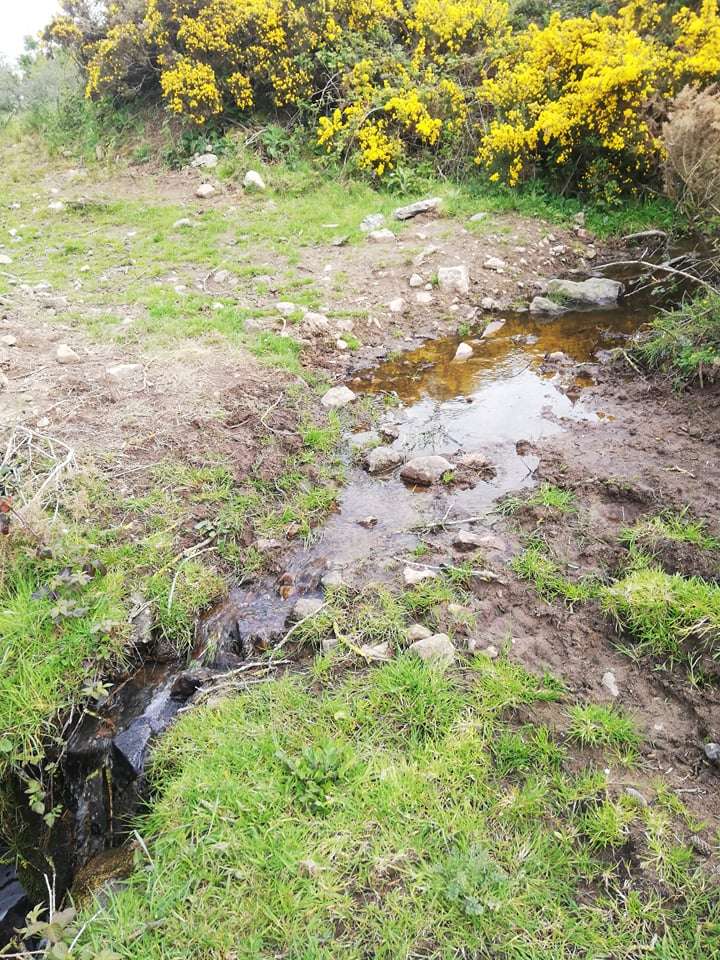 The Source of the River Nore