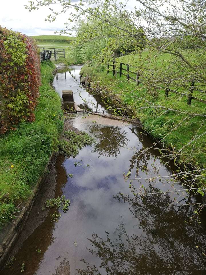 The Source of the River Nore