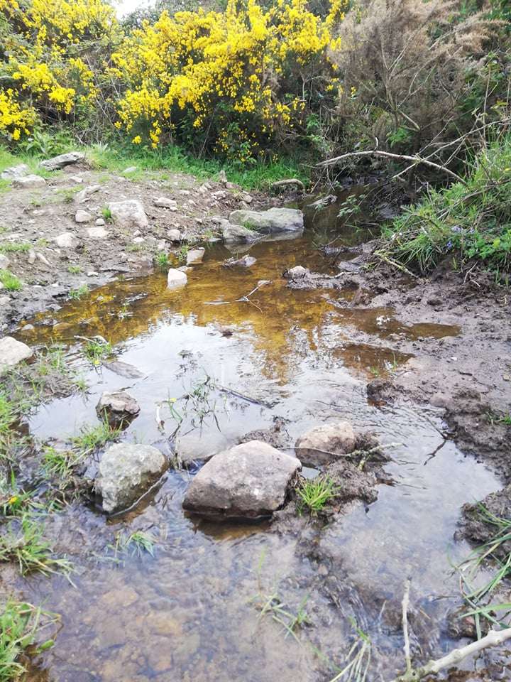 The Source of the River Nore