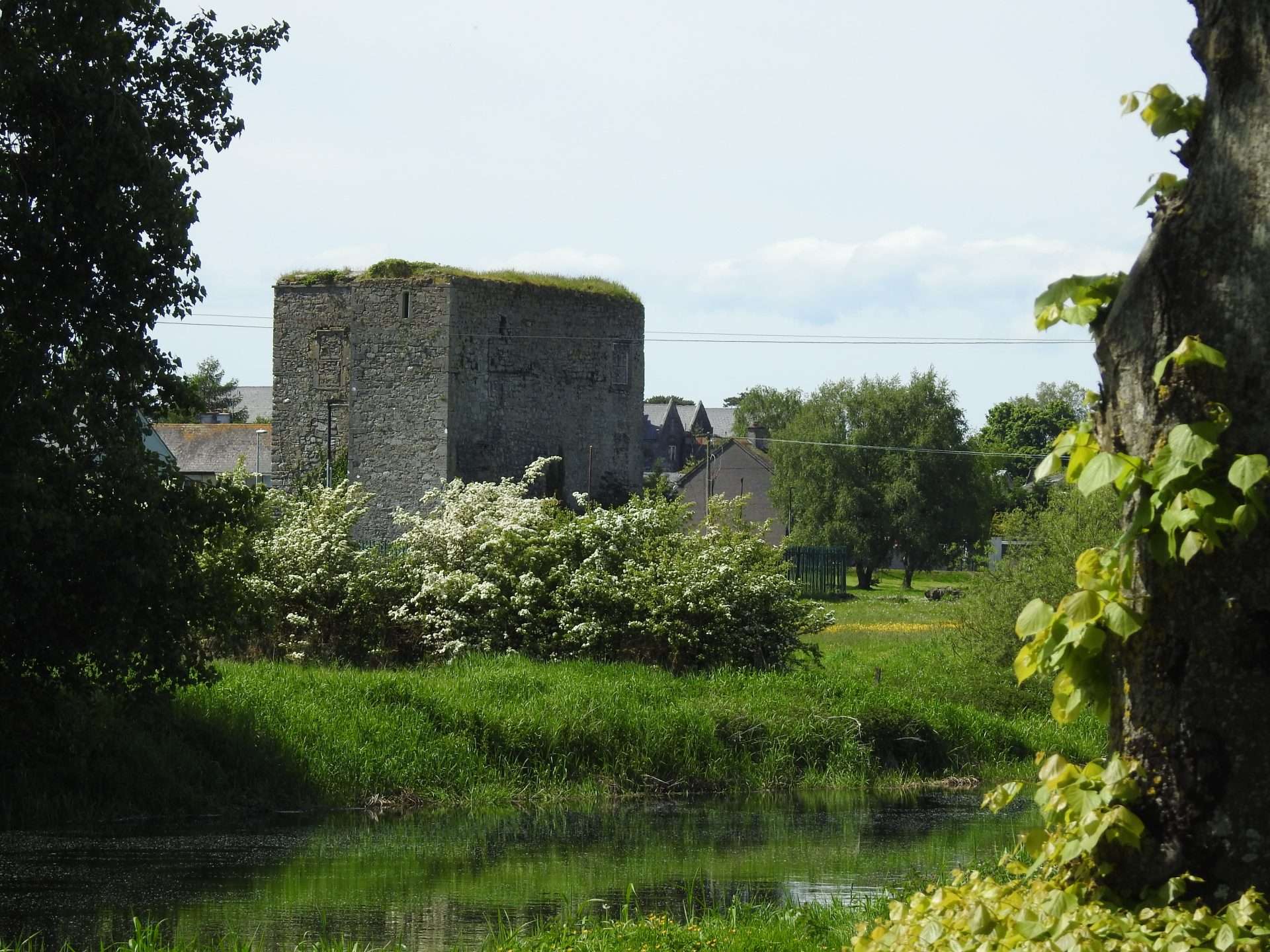 Things to do in Athy in 2025